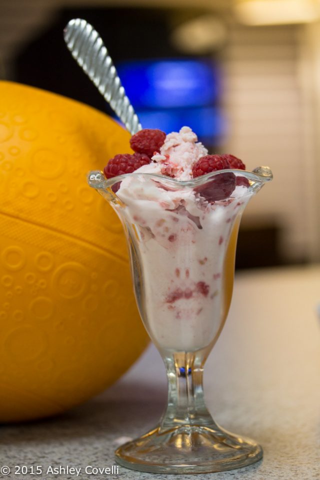 3 Ingredient Raspberry Frozen Yogurt with Stonyfield + YayLabs ...