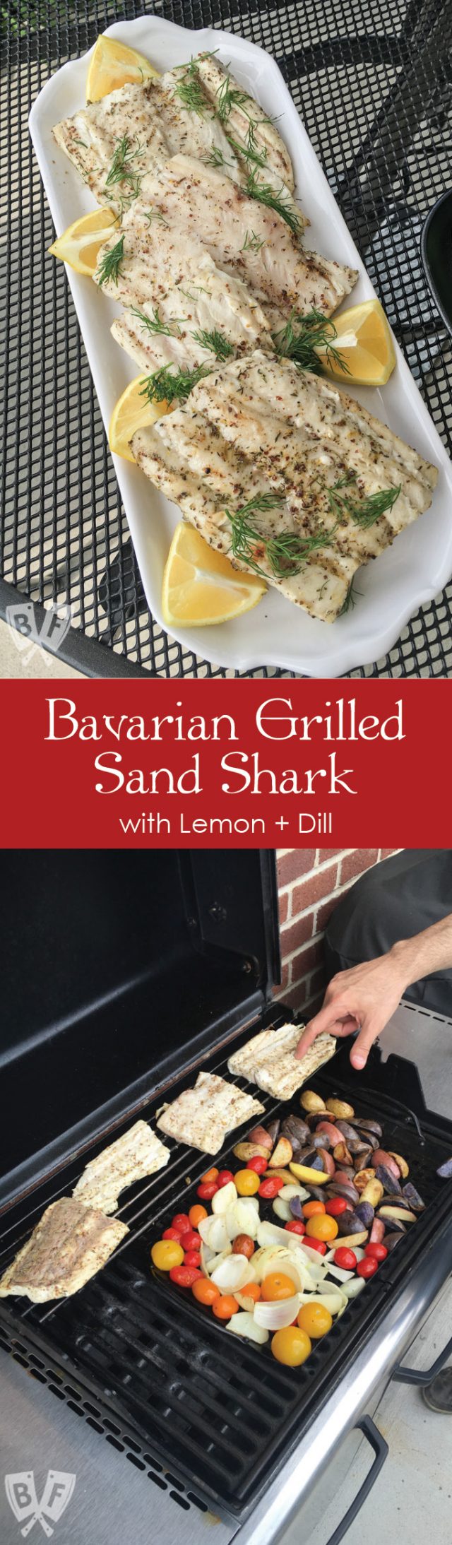 Bavarian Grilled Sand Shark with Lemon + Dill » Big Flavors from a Tiny ...