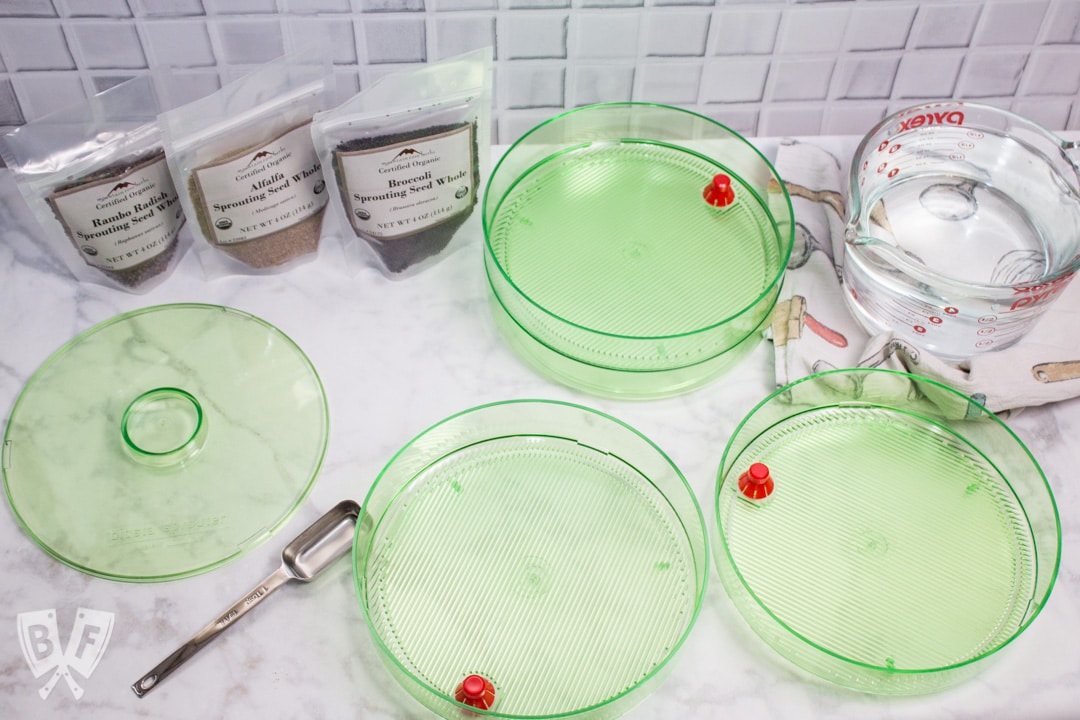 Sprouting Seeds at Home: A How-To Guide with 3 Methods for Success