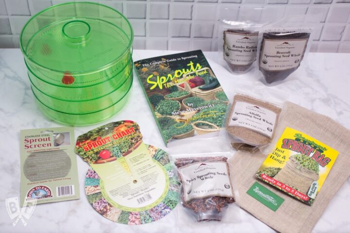Sprouting Seeds at Home: A How-To Guide with 3 Methods for Success