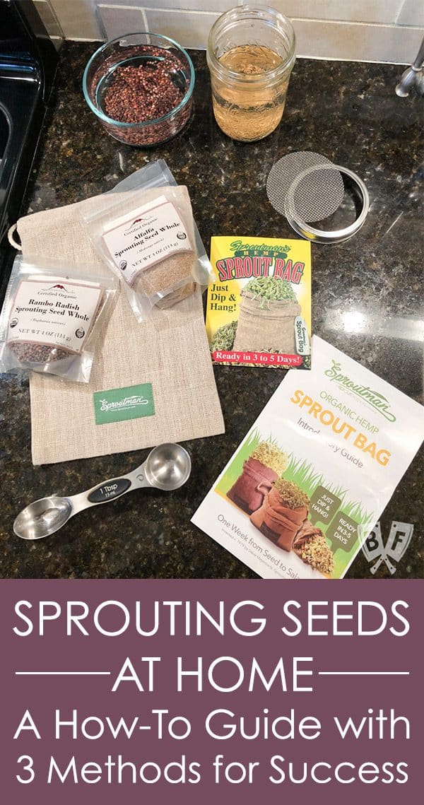 Sprouting Seeds at Home: A How-To Guide with 3 Methods for Success