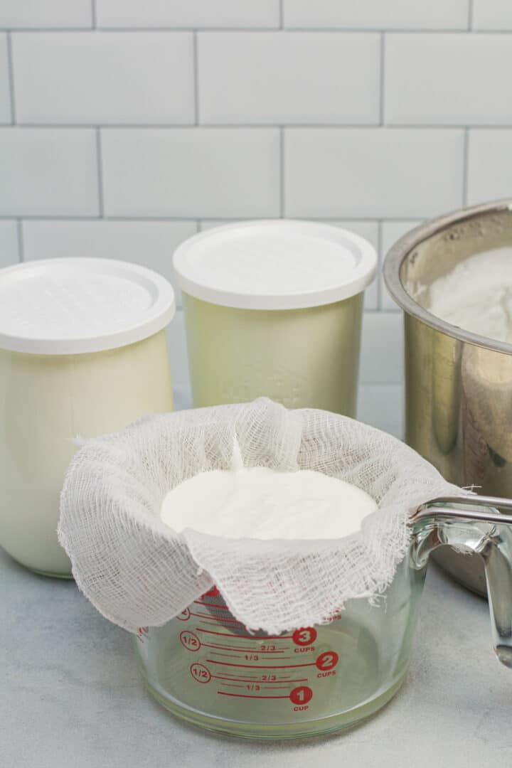 Homemade Instant Pot Yogurt » Big Flavors from a Tiny Kitchen