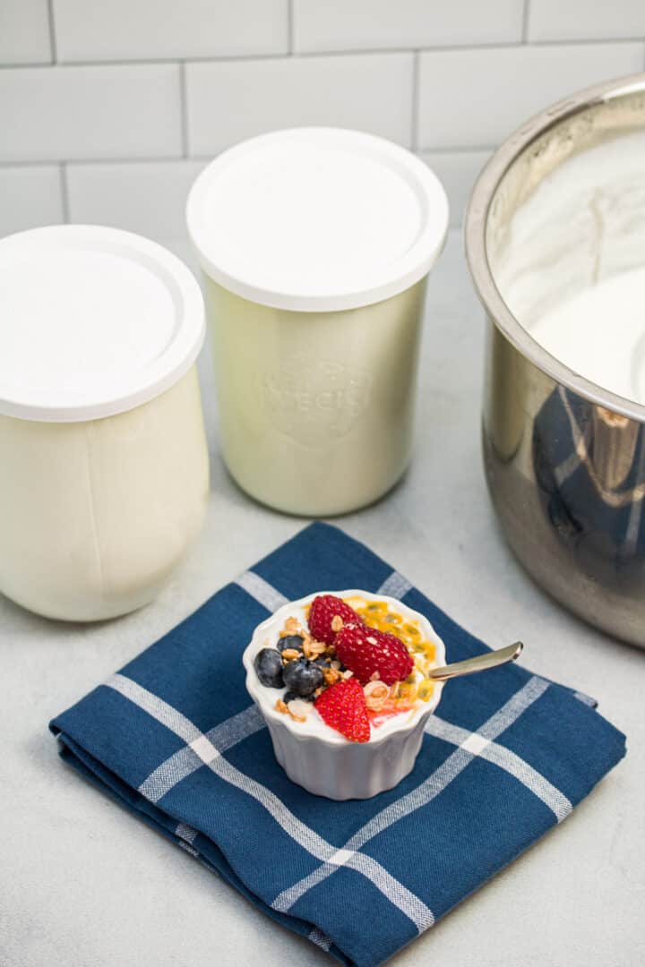 Homemade Instant Pot Yogurt » Big Flavors from a Tiny Kitchen