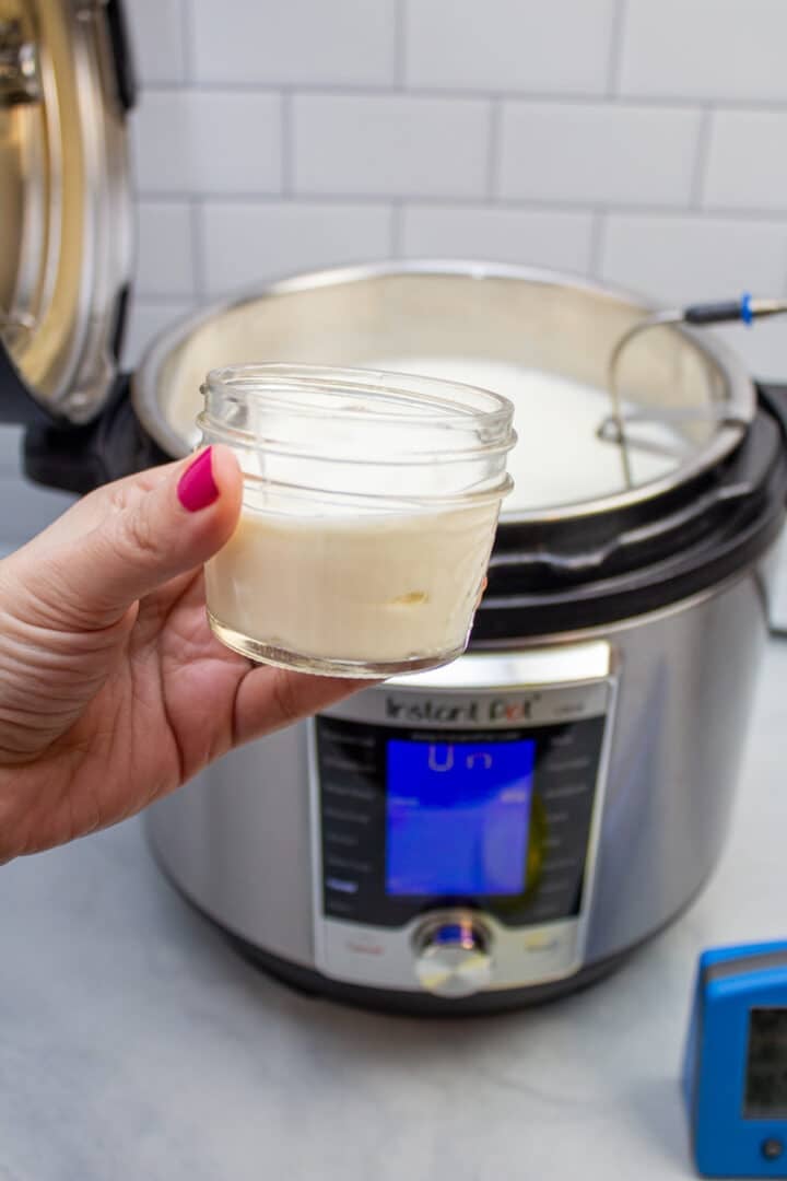 Homemade Instant Pot Yogurt » Big Flavors from a Tiny Kitchen