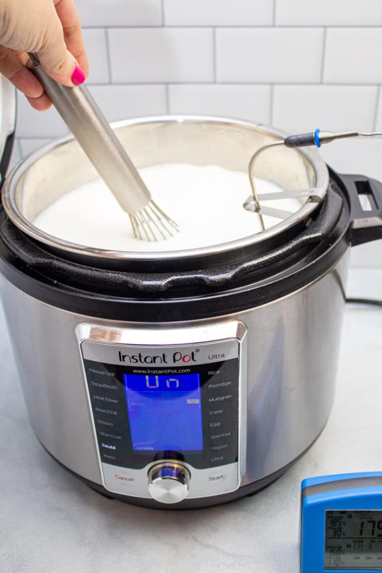 Homemade Instant Pot Yogurt » Big Flavors from a Tiny Kitchen