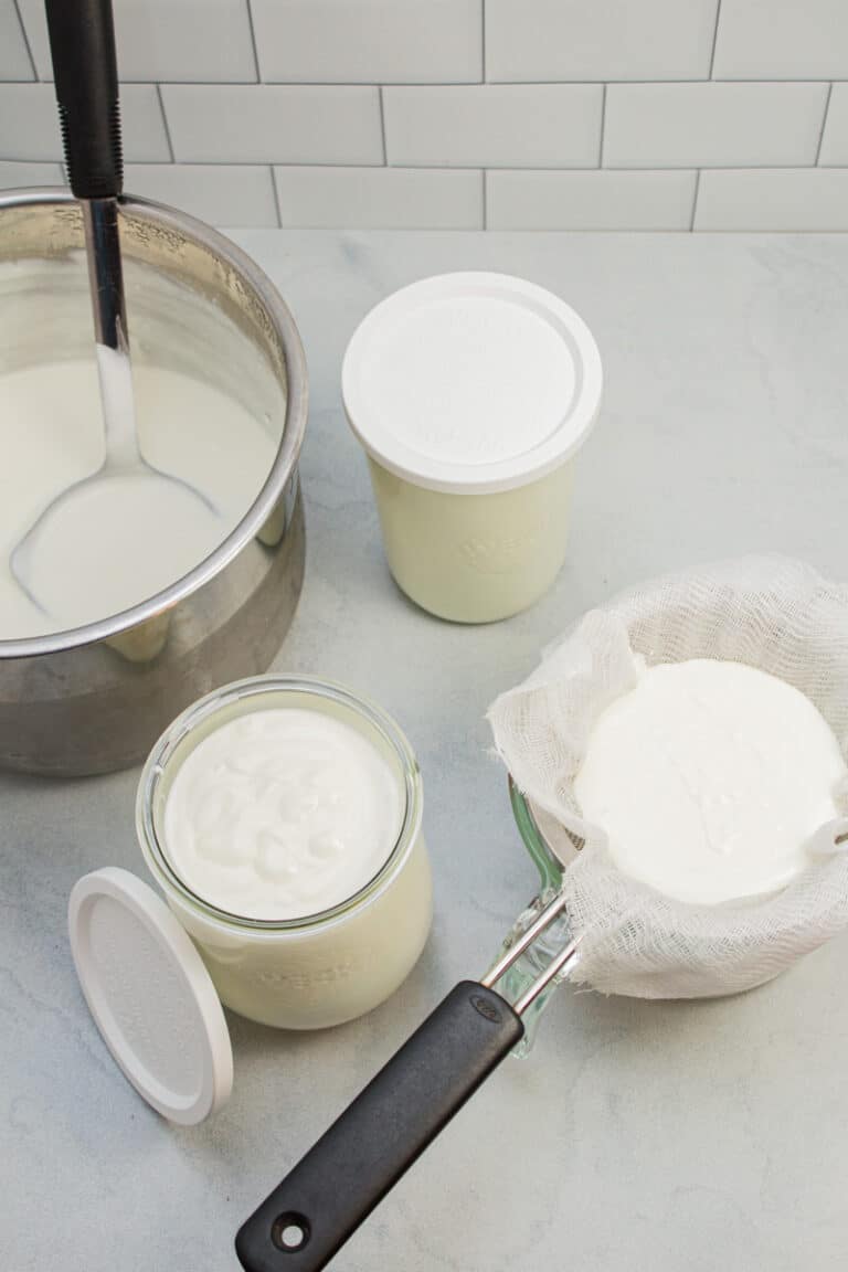 Homemade Instant Pot Yogurt » Big Flavors from a Tiny Kitchen